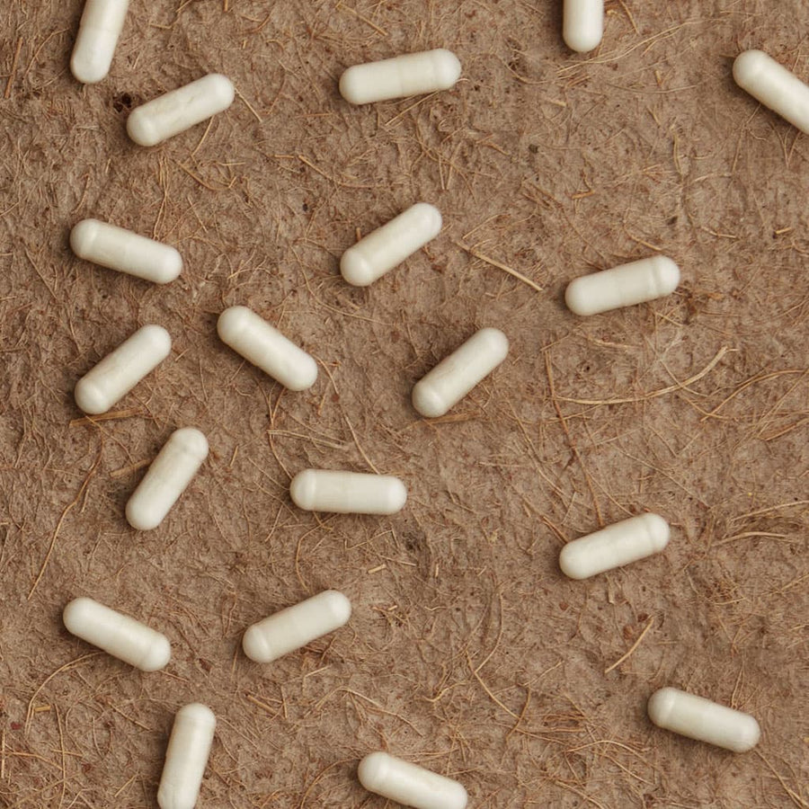 Inessa Advanced Biotic Complex - Probiotic Supplements